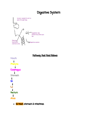 Digestive System Pt 1 - Digestive System Pathway that Food Follows ...