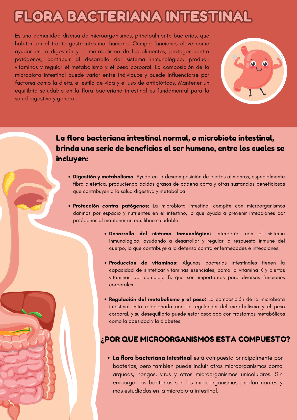 Flora intestinal - FLORA BACTERIANA INTESTINALFLORA BACTERIANA ...