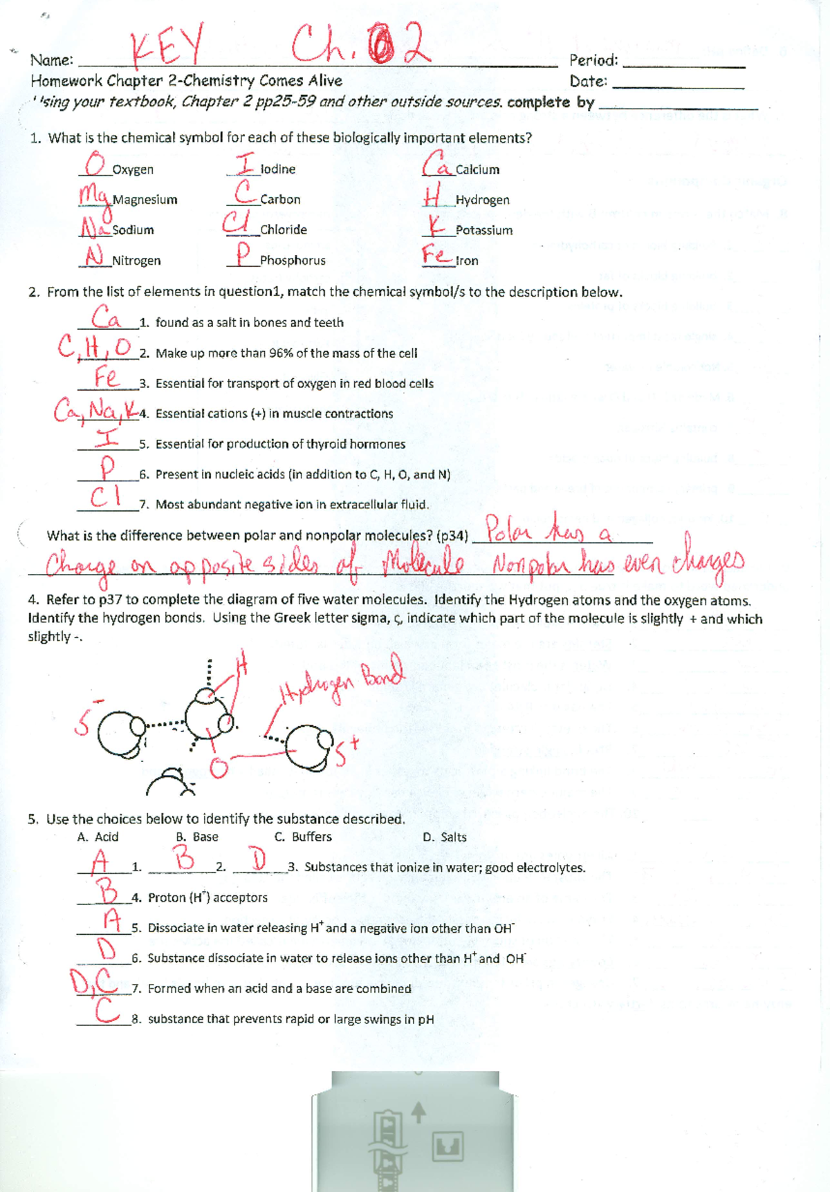 Chapter 2 Review Materials KEY (biology) - KEY Ch. 0 2 Name: Period ...