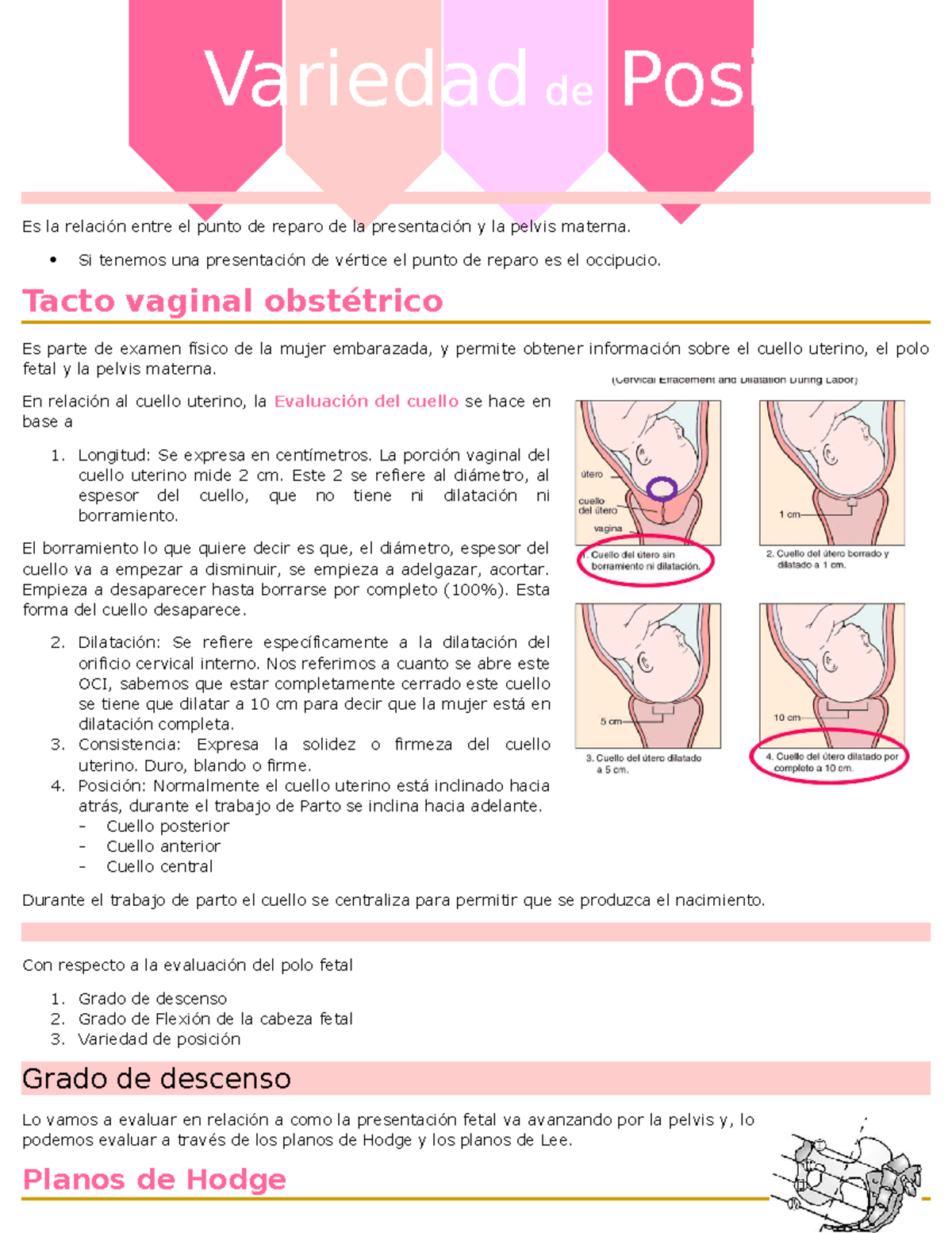 Variedad de Posición en el trabajo de parto - Variedad de Posición Es ...