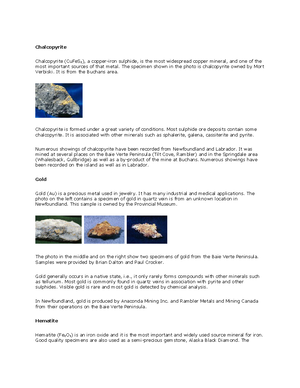 Conglomerates different sizes - THE CHARACTERISTICS OF VARIOUS TYPES OF ...