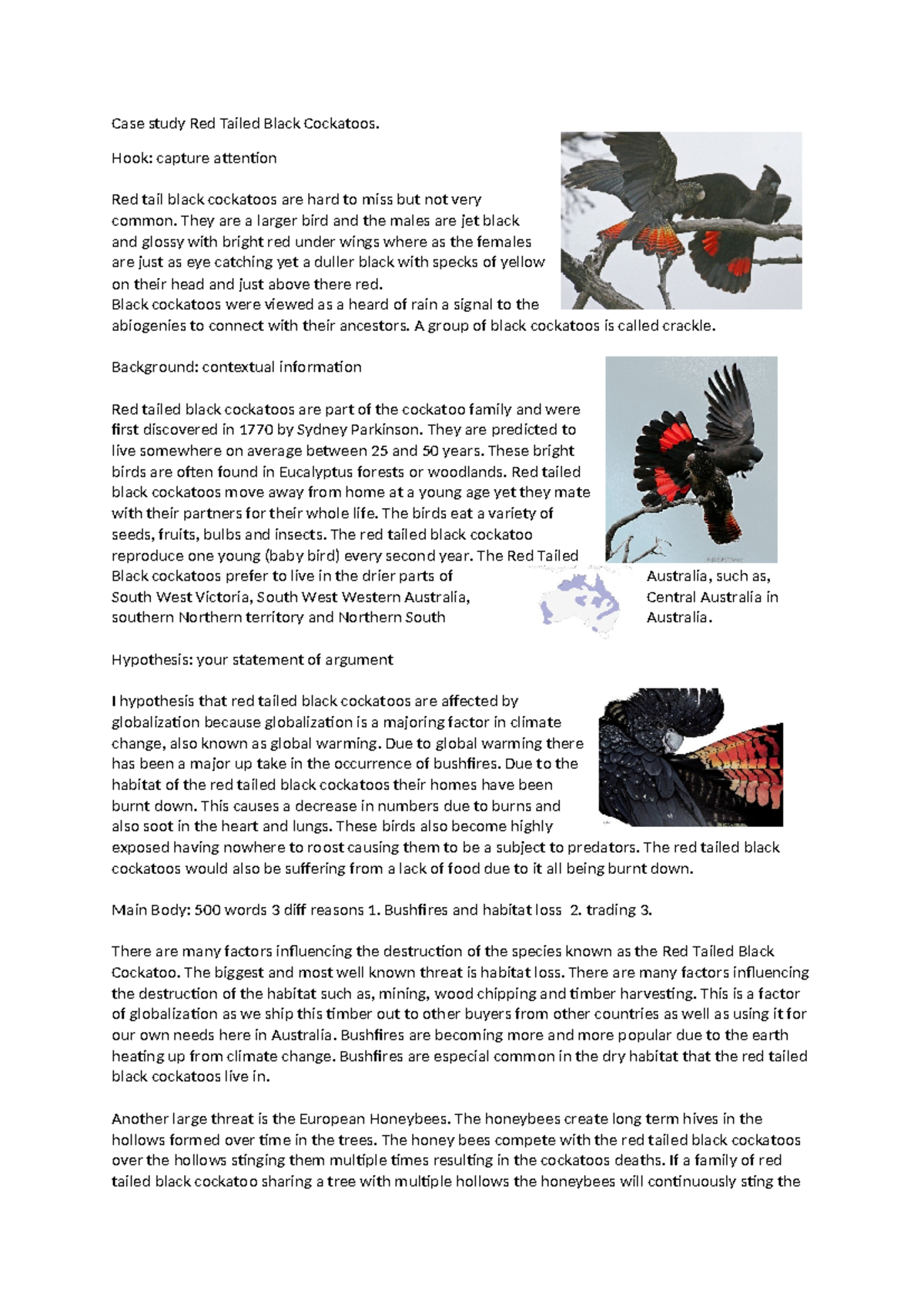 Case Study Red Tail Black cockatoos term 3 2023 - Case study Red Tailed ...