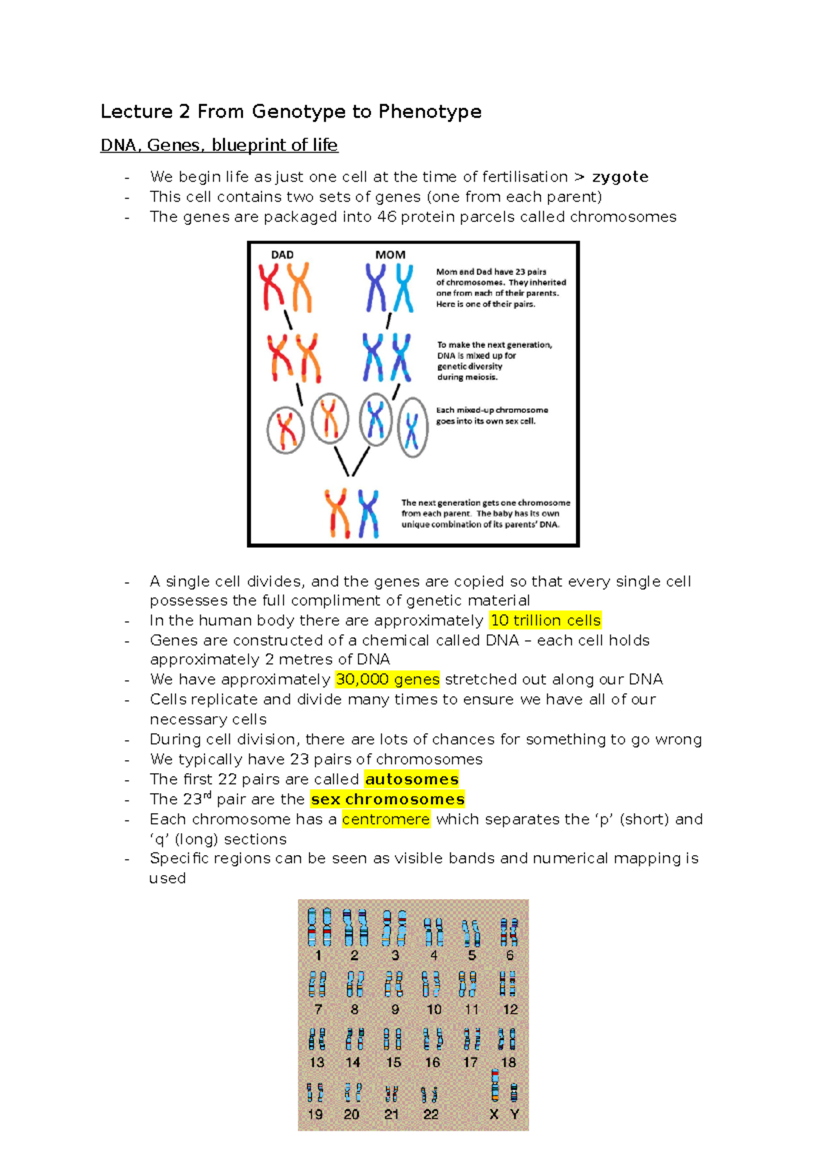 Disorders of Development: Genotype to Phenotype - Lecture 2 From ...