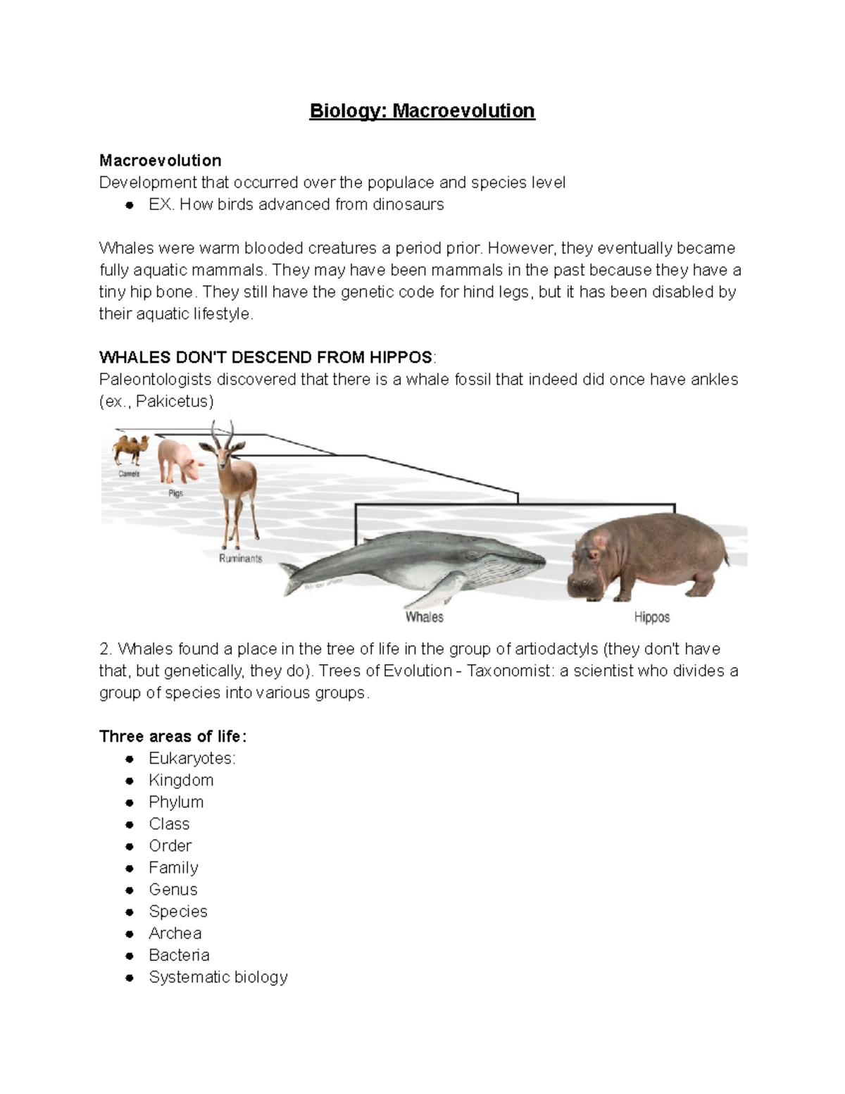 Biology Macroevolution - Biology: Macroevolution Macroevolution ...