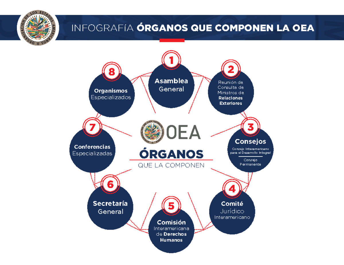 Infografia Organos OEA - INFOGRAFíA ÓRGANOS QUE COMPONEN LA OEA ÓRGANOS ...