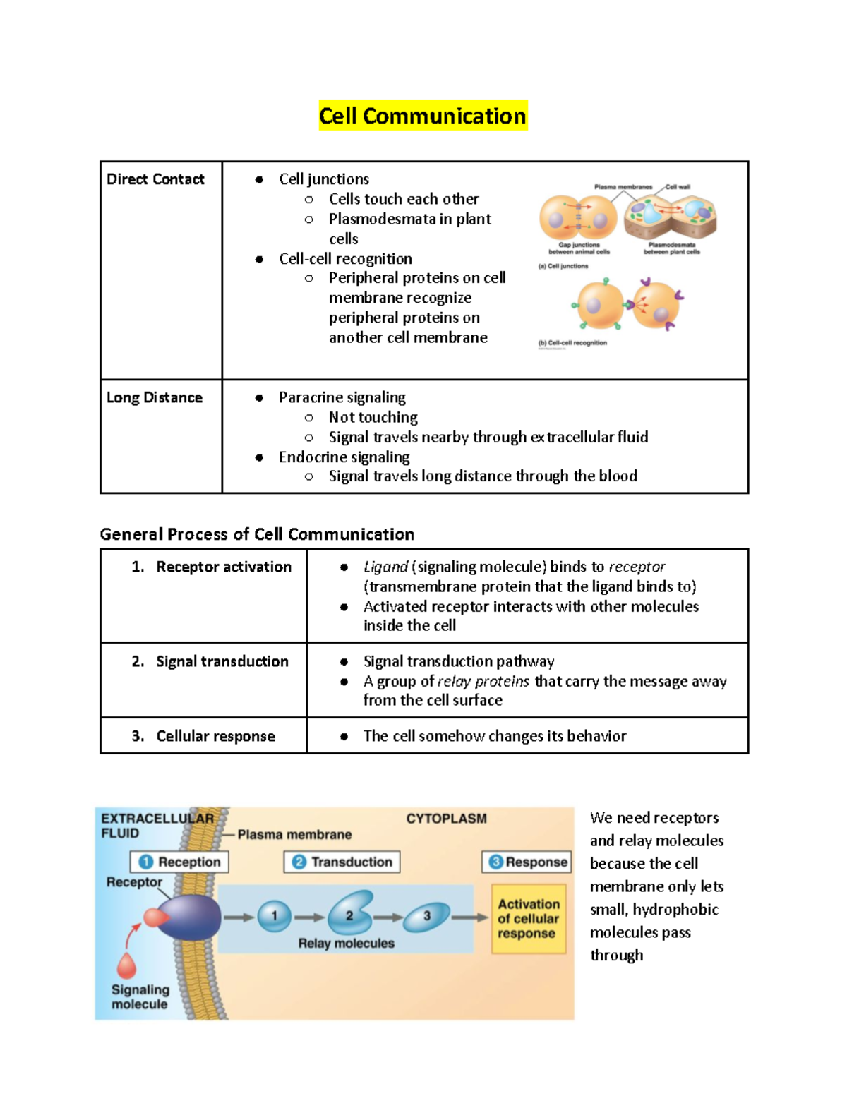 Module 8 cell communication notes - Cell Communication Direct Contact ï ...