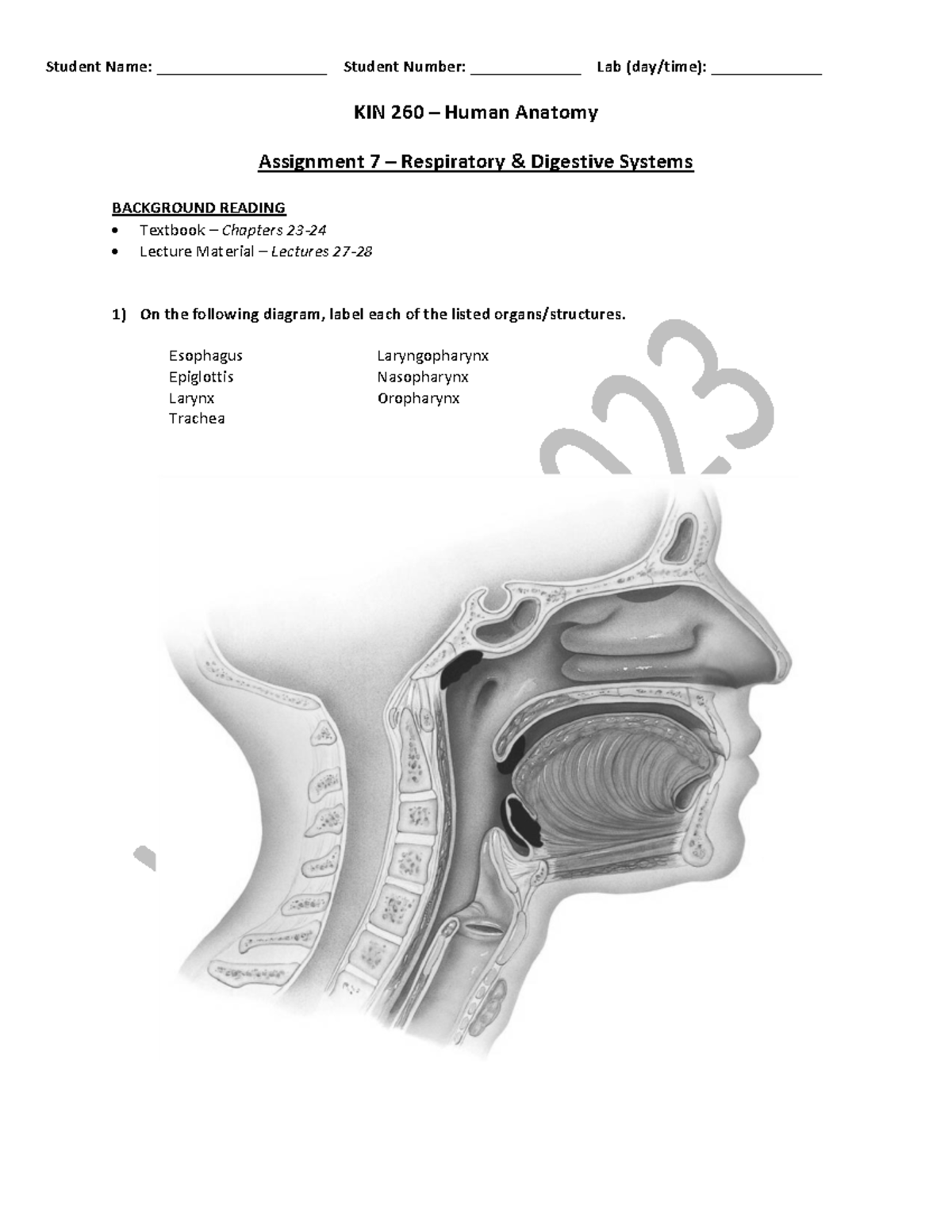 Lab 7 - Assignment - Lab 7 Practice - Student Name ...