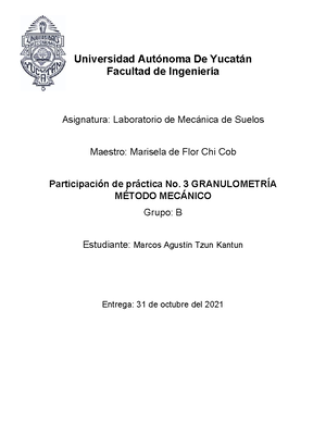 ASTM C 1611 Revenimiento - ASTM C 1611- Método de prueba estándar para ...