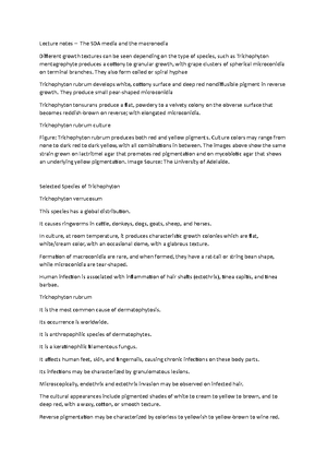 Lecture notes – the different types of APCs and the macrophages and the ...