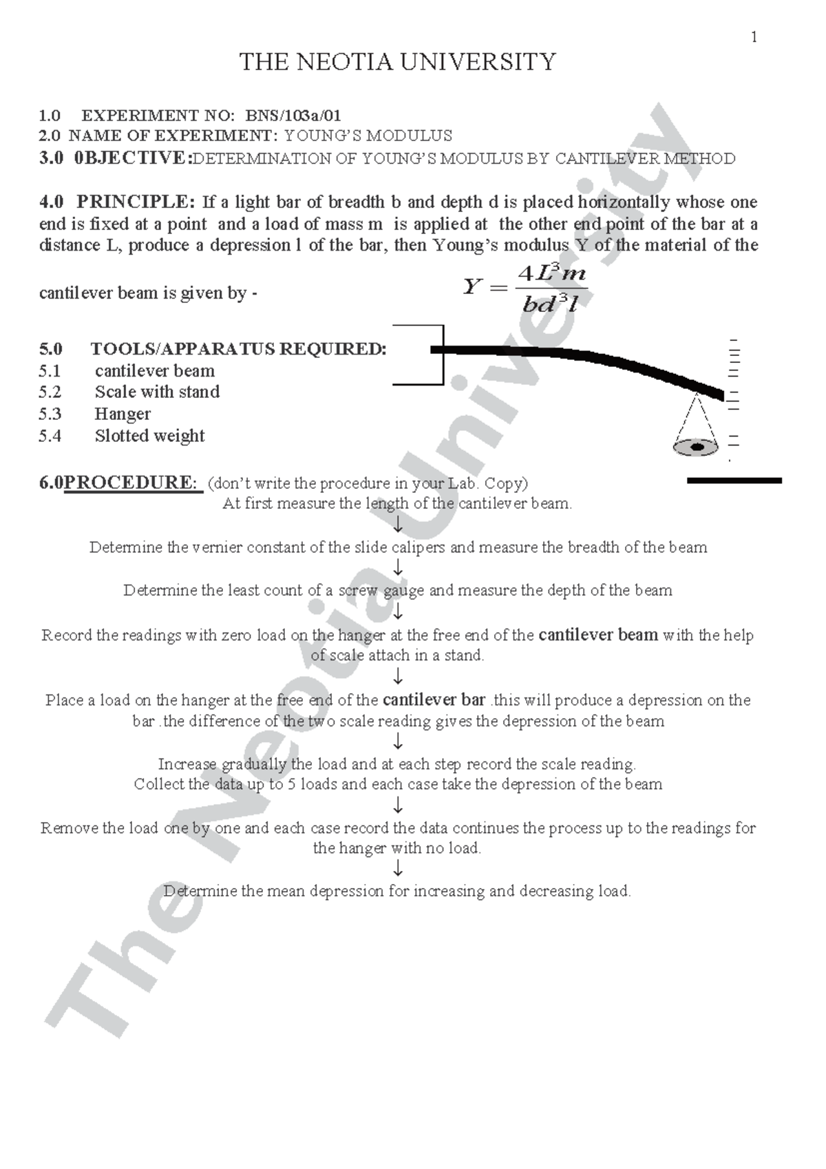 Youngs modulus by cantilever method - THE NEOTIA UNIVERSITY ####### 1 1 ...