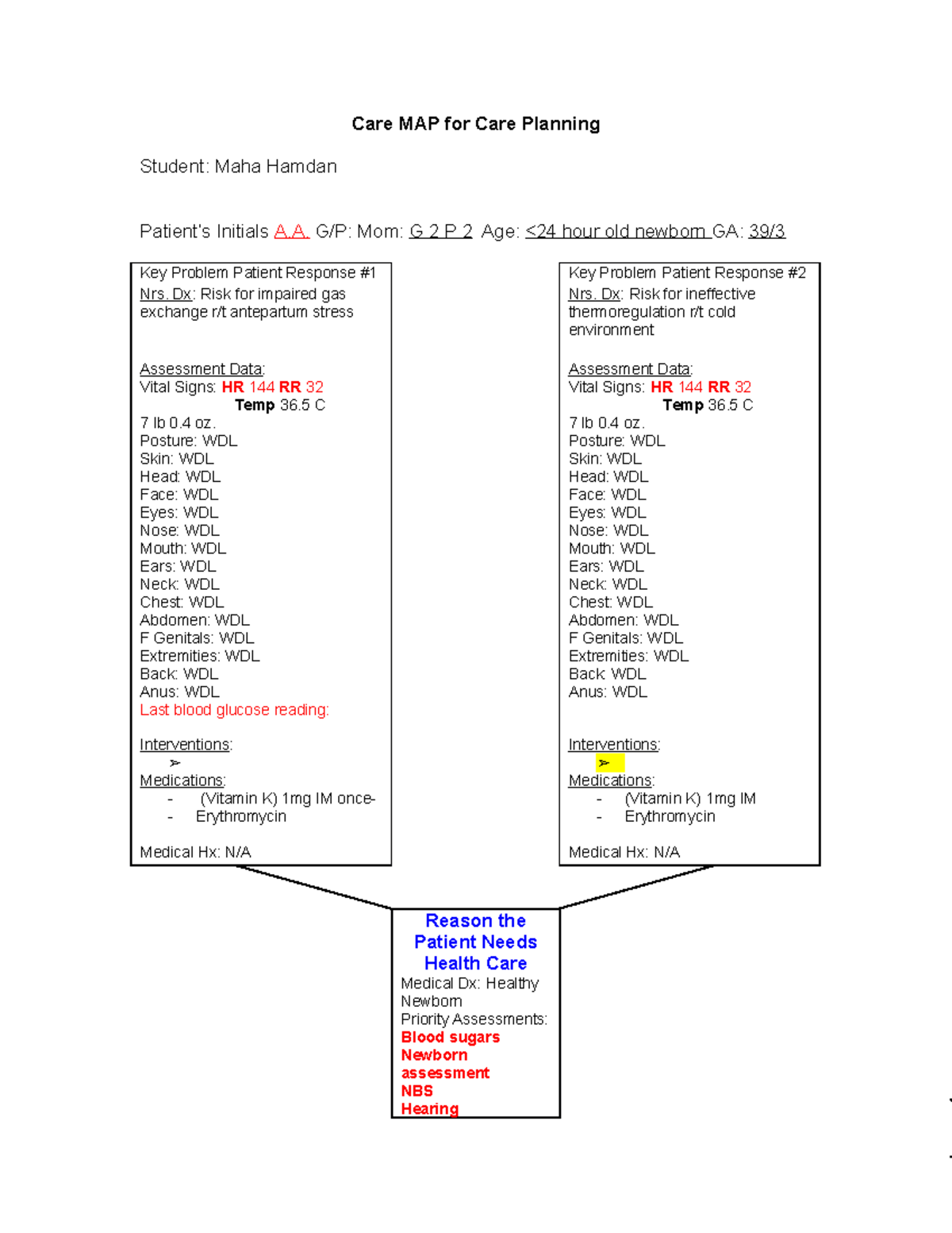 Example Care Map Newborn - Care MAP for Care Planning Student: Maha ...
