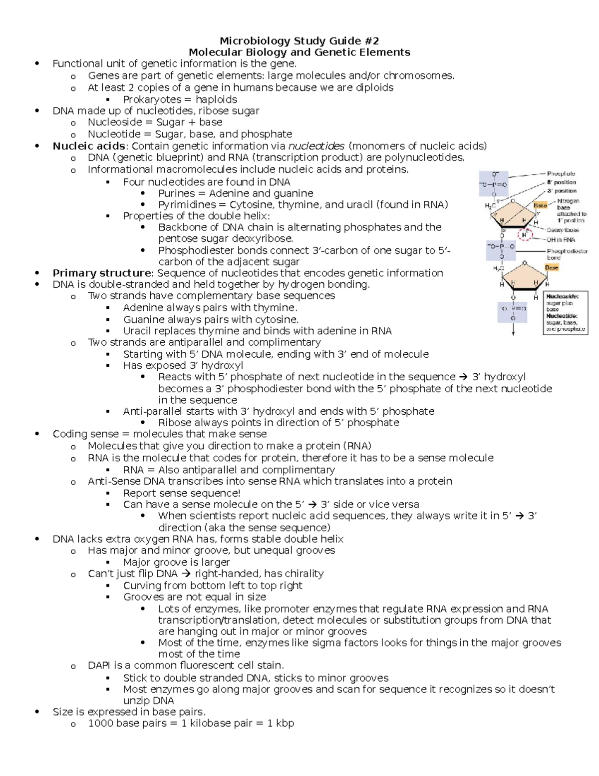 VCU BIOL 303: Microbiology Quiz 2 Notes - Microbiology Study Guide ...