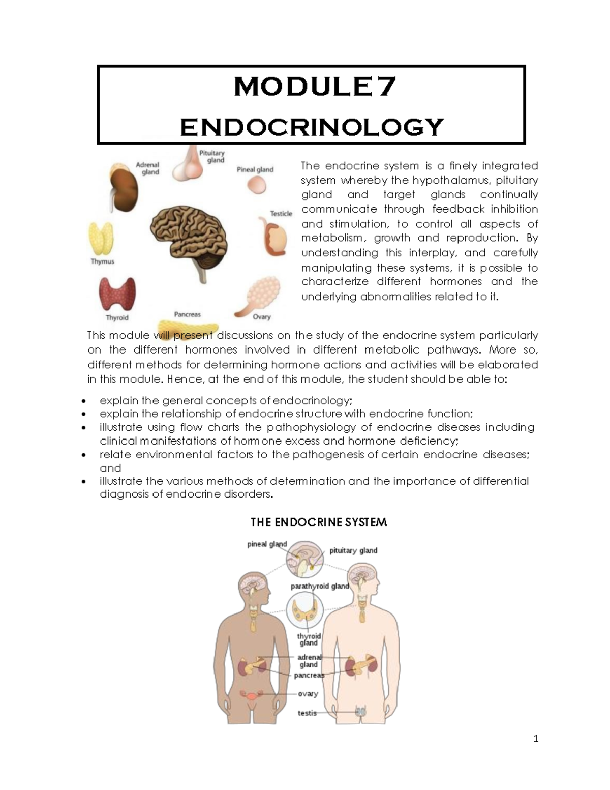 M7: Endocrinology - Lecture - MODULE 7 ENDOCRINOLOGY The endocrine ...