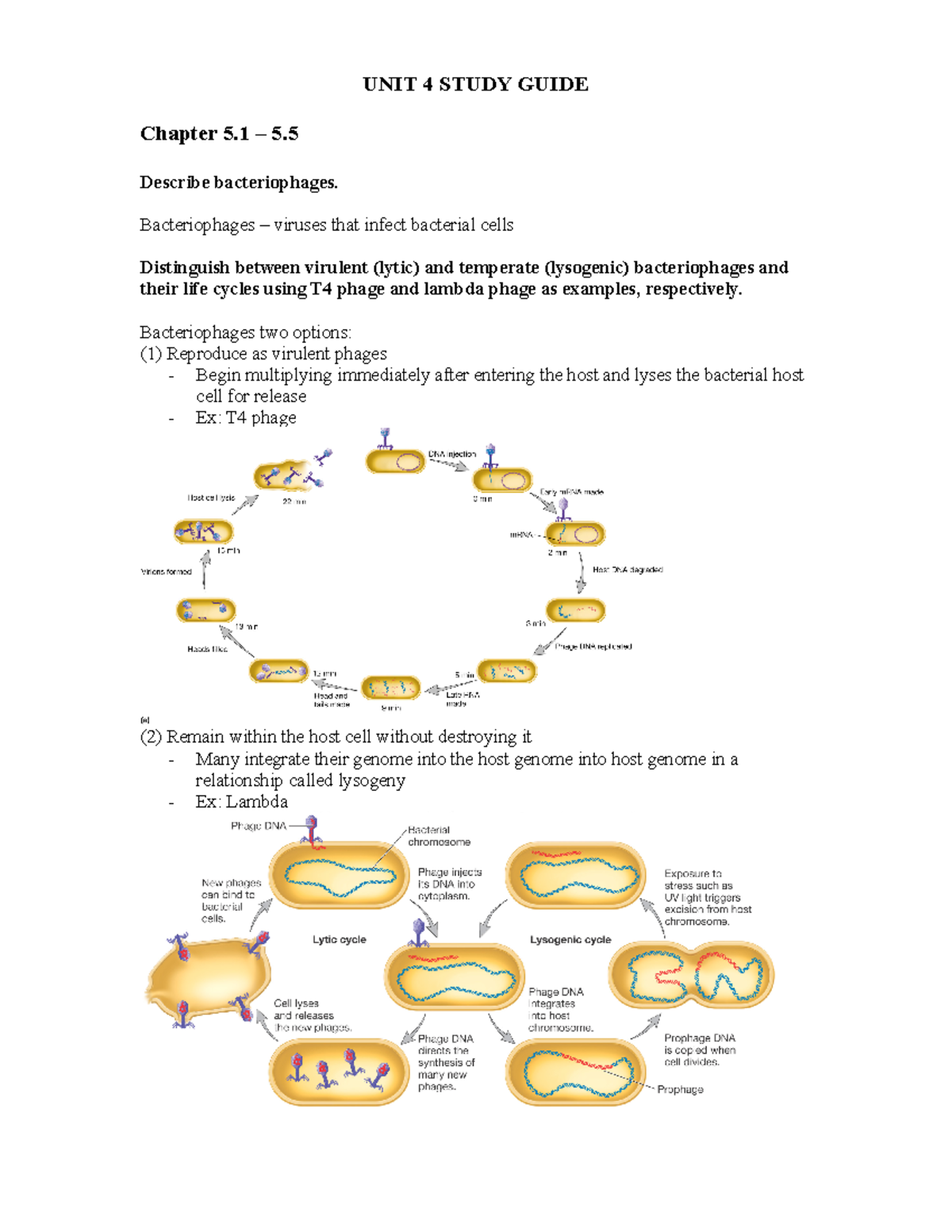 Unit 4 Study Guide - Summary Prescott's Microbiology - UNIT 4 STUDY ...