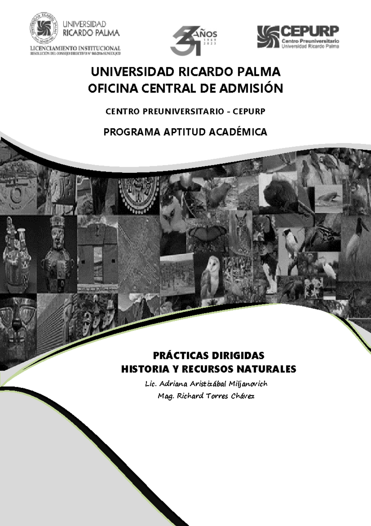 Prácticas Dirigidas - Historia Y RRNN - Aptitud 2024-II- BN - UNIVERSIDAD RICARDO PALMA OFICINA ...