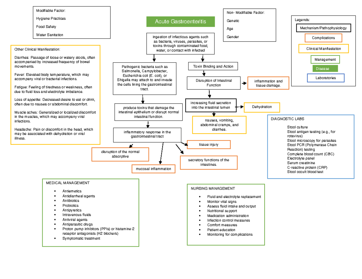 AGE CONCEPT MAP - Acute Gastroenteritis Modifiable Factor: Hygiene ...