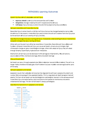 Key Terms for PATH - Key terminologies for PATH - PATH20001 - Unimelb ...
