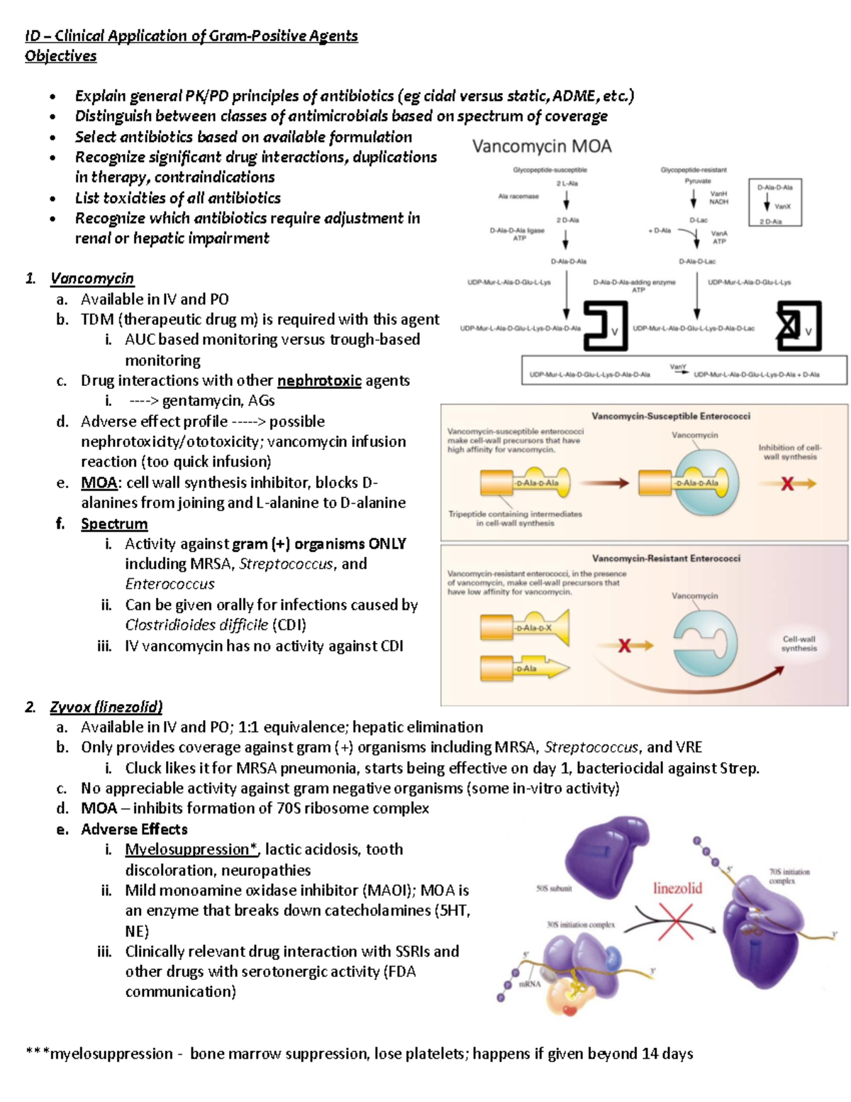 ID - gram positive agents - ID – Clinical Application of Gram-Positive ...