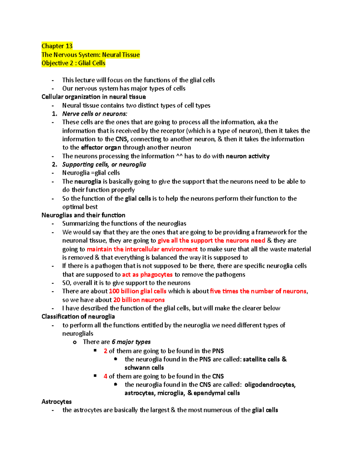 Chapter 13- obj 2 - Dr Brinn - Chapter 13 The Nervous System: Neural ...
