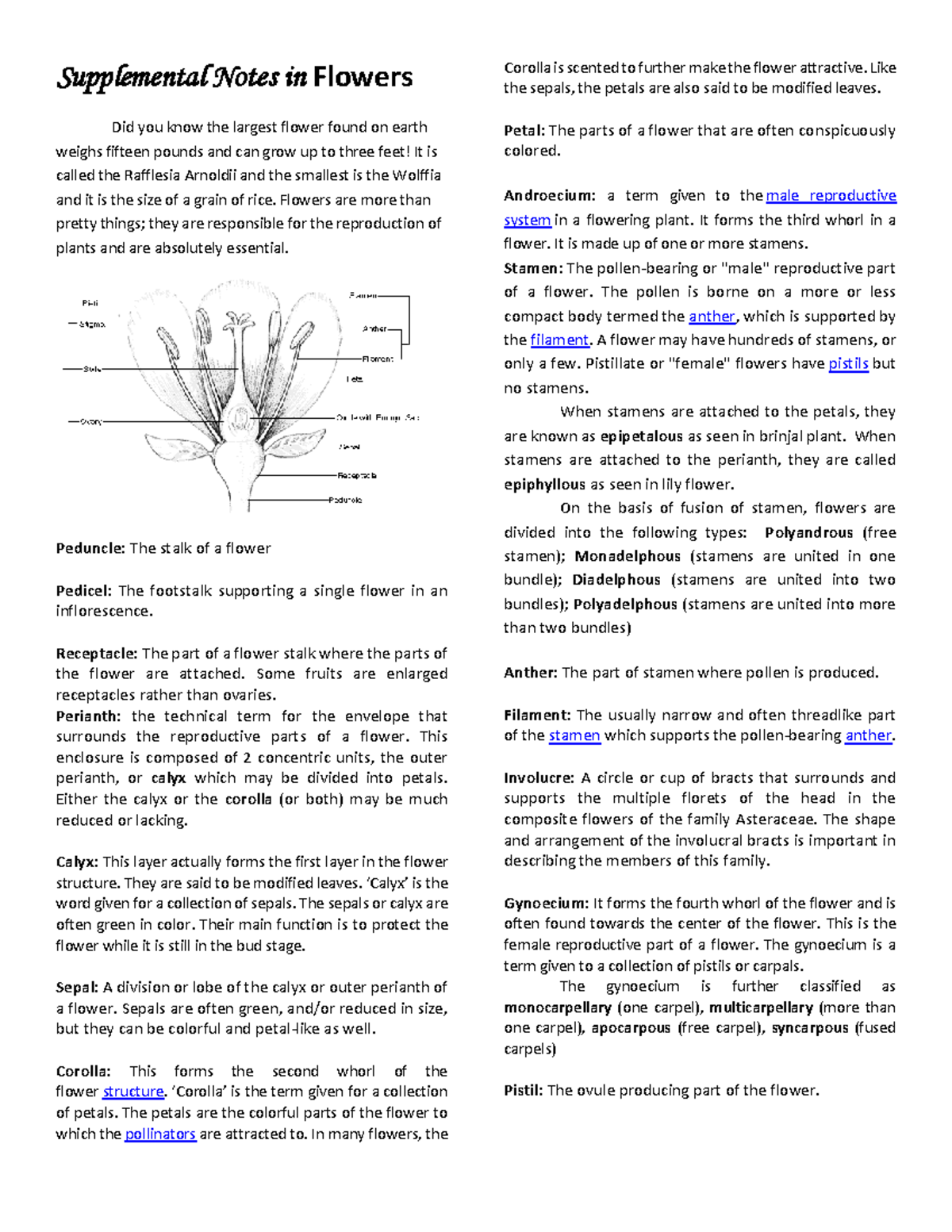 Supplemental Notes in Flowers - Flowers are more than pretty things ...