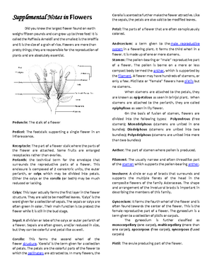 Questions to Answer - Flowersand Fruits - Questions to Answer - Flowers ...