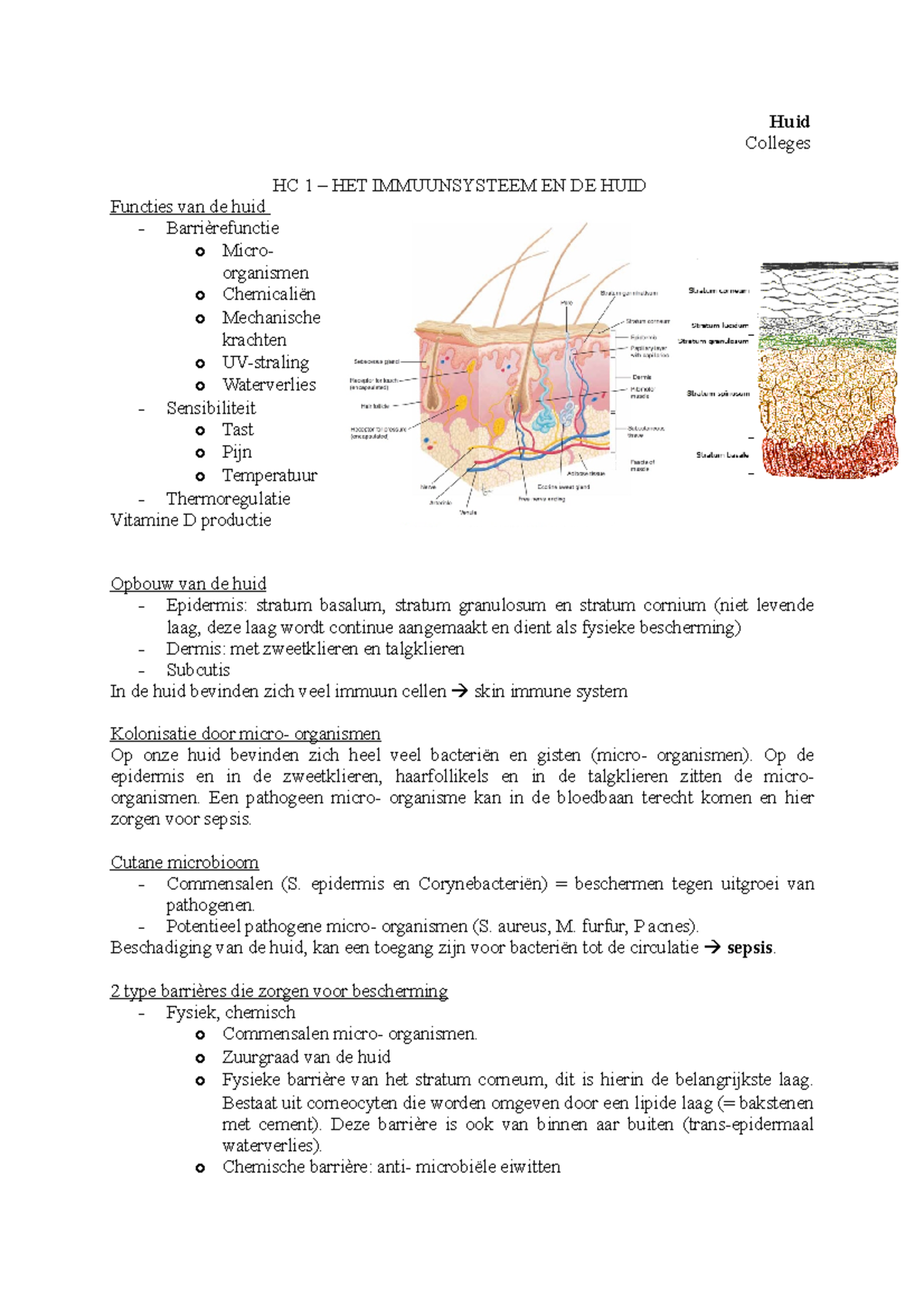 Colleges Huid - Huid Colleges HC 1 – HET IMMUUNSYSTEEM EN DE HUID ...