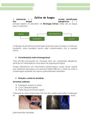 Métodos utilizados no exame parasitológico de Fezes - Métodos ...