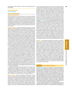 Absceso pulmonar resumen - (cap. 122 Harrison, pág. 919 - 921) El ...