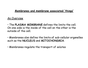 Maternity Support Worker Job Description - Portsmouth Hospitals NHS ...