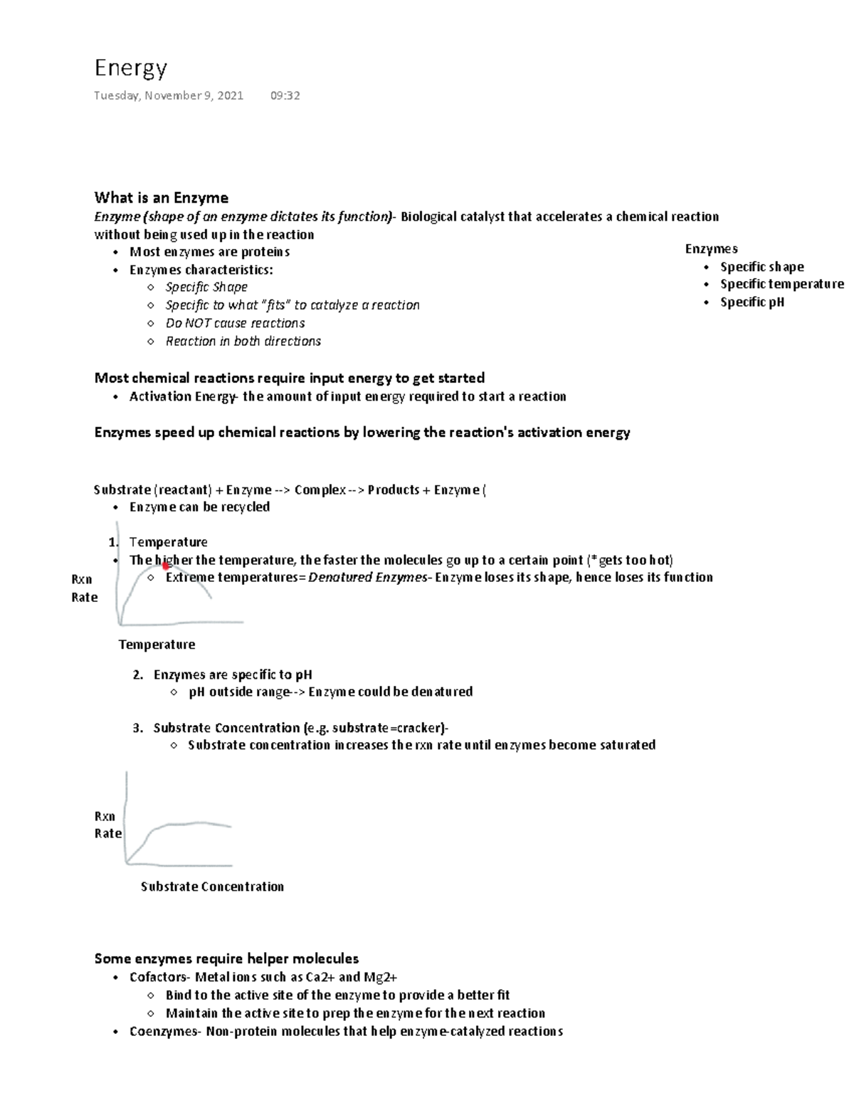 Biology Energy - tŚĂƚ ŝƐ ĂŶ ŶnjLJŵĞ ŶnjLJŵĞ ;ƐŚĂƉĞ ŽĨ ĂŶ ĞŶnjLJŵĞ ...