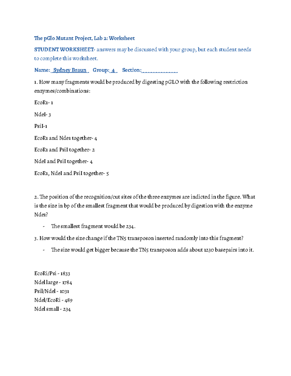 The+p Glo+Mutant+Project,+Lab+2+ - e pGlo Mutant Project, Lab 2 ...