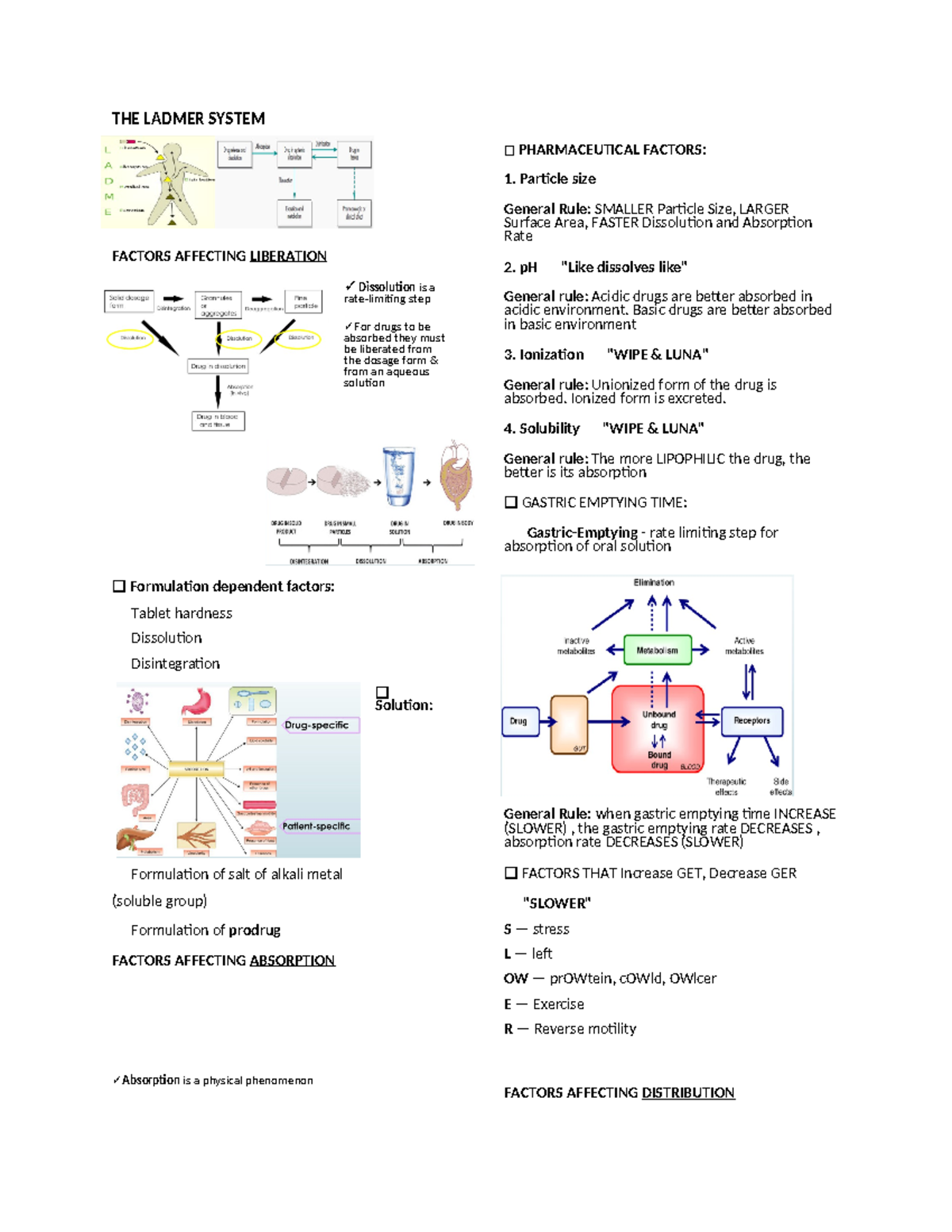 THE- Ladmer- System - Pharmacokinetics - THE LADMER SYSTEM FACTORS ...