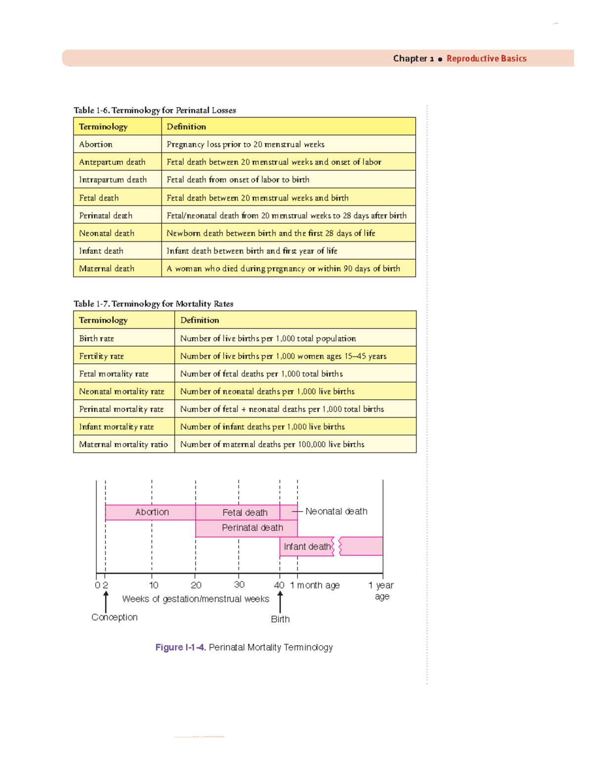 MW3 Lecture Notes - Chapter 1 l Reproductive Basics Table 1-6 ...