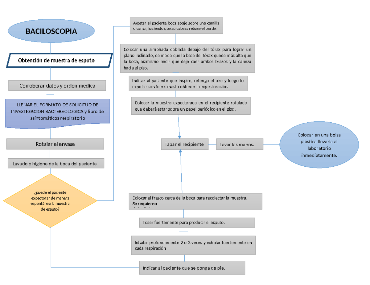 Baciloscopia - BACILOSCOPIA Obtención de muestra de esputo Corroborar ...