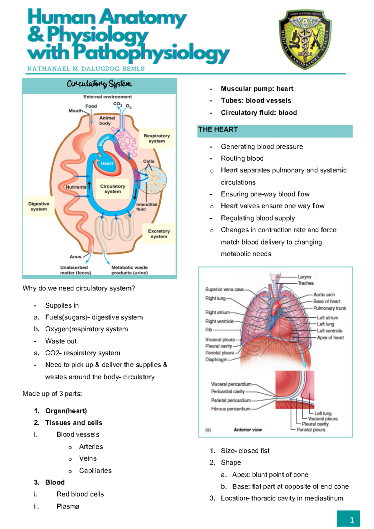 ANATOMY AND PHYSIOLOGY WITH PATHOPHYSIOLOGY- Cardiovascular System ...