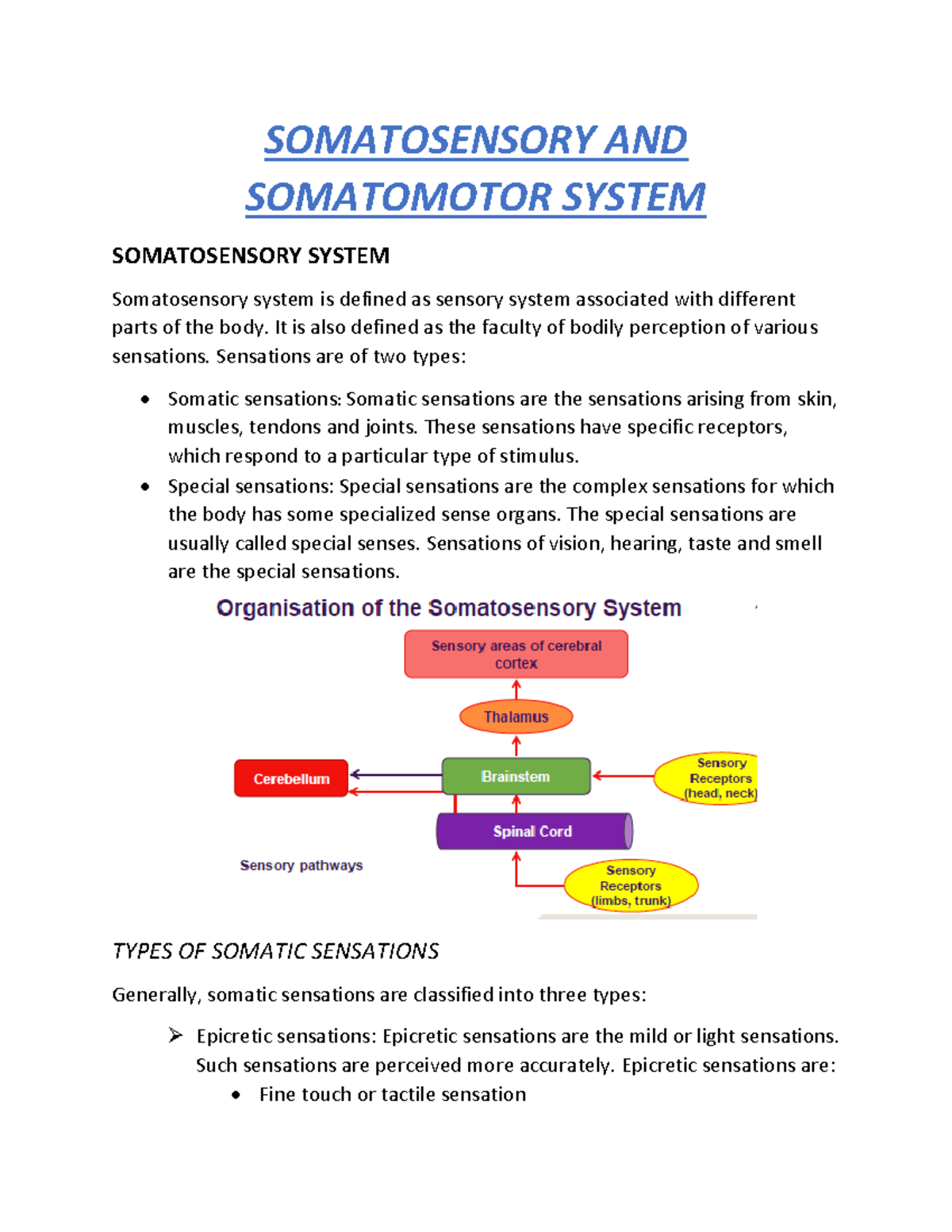 Somatosensory AND Somatomotor System - SOMATOSENSORY AND SOMATOMOTOR ...