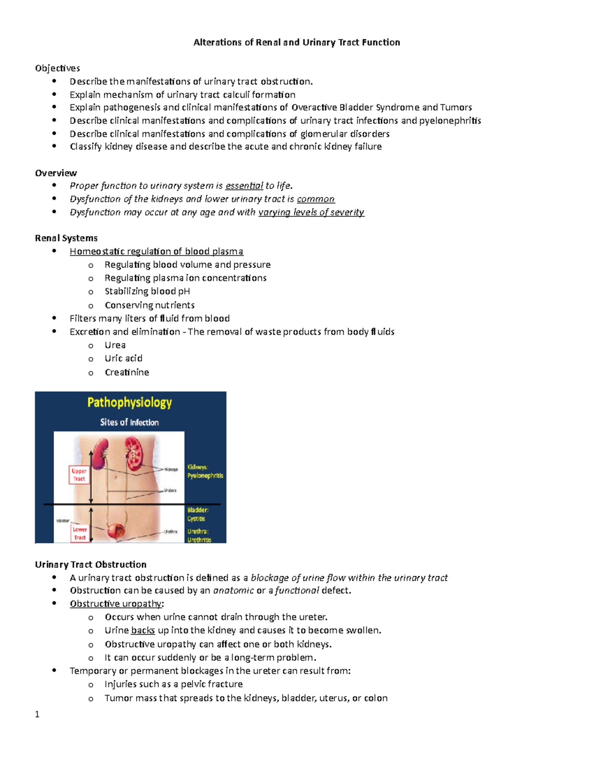 8-28 Alterations of Renal and Urinary Tract Function - Alterations of ...