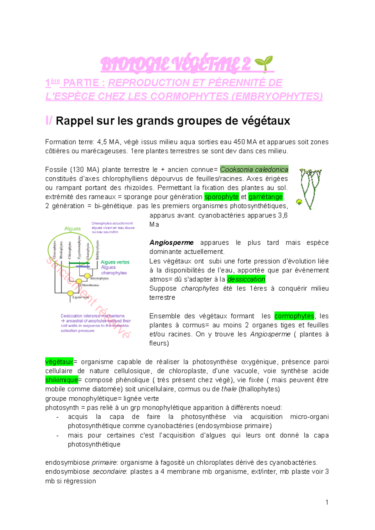 Chapitre 1 de biologie végétale - BIOLOGIE VÉGÉTALE 2 🌱 1 ère PARTIE ...