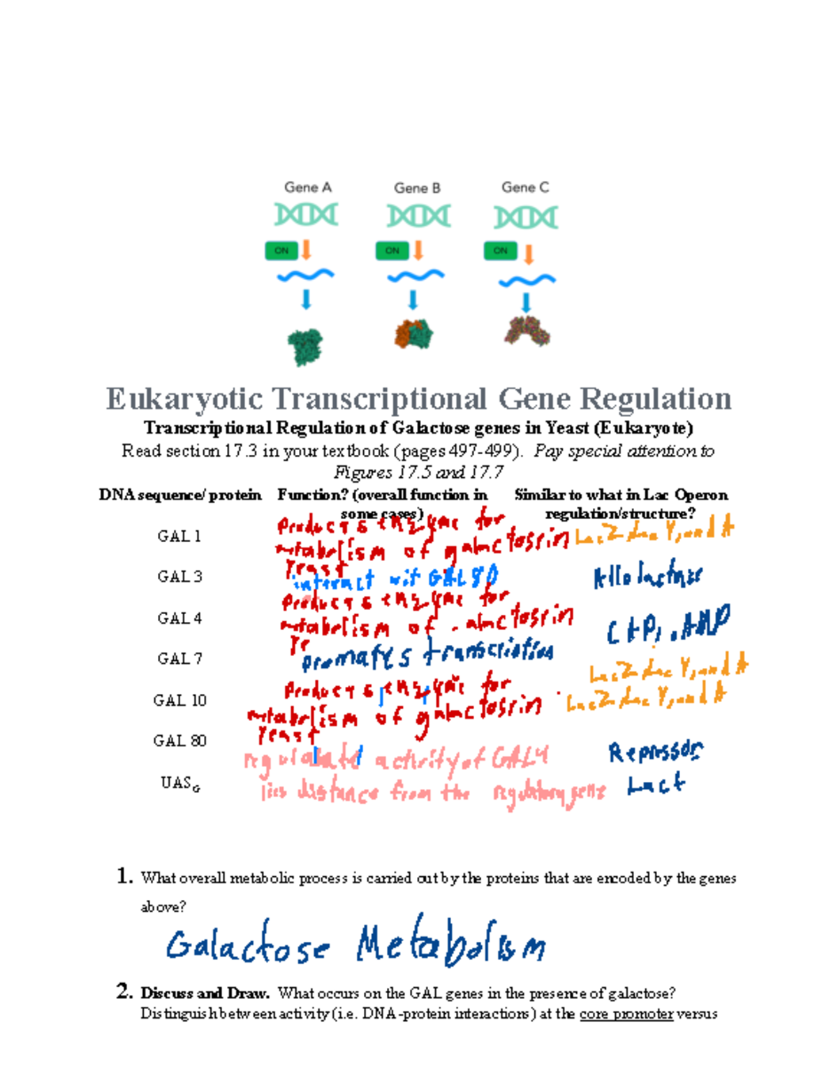 Class 19 Transcriptional Regulation Eukaryotes Practice - Eukaryotic ...