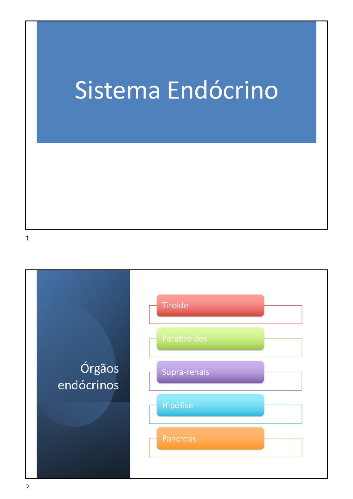 Aula 7 CM 24-25 - bbbbbbbbbbbbbbbbbb - Sistema Endócrino 1 Órgãos endócrinos Tiroide ...