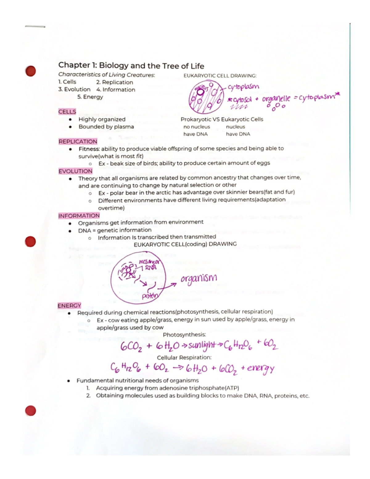 Chapter 1 Biology and the Tree of Life - BIO 101 - Studocu