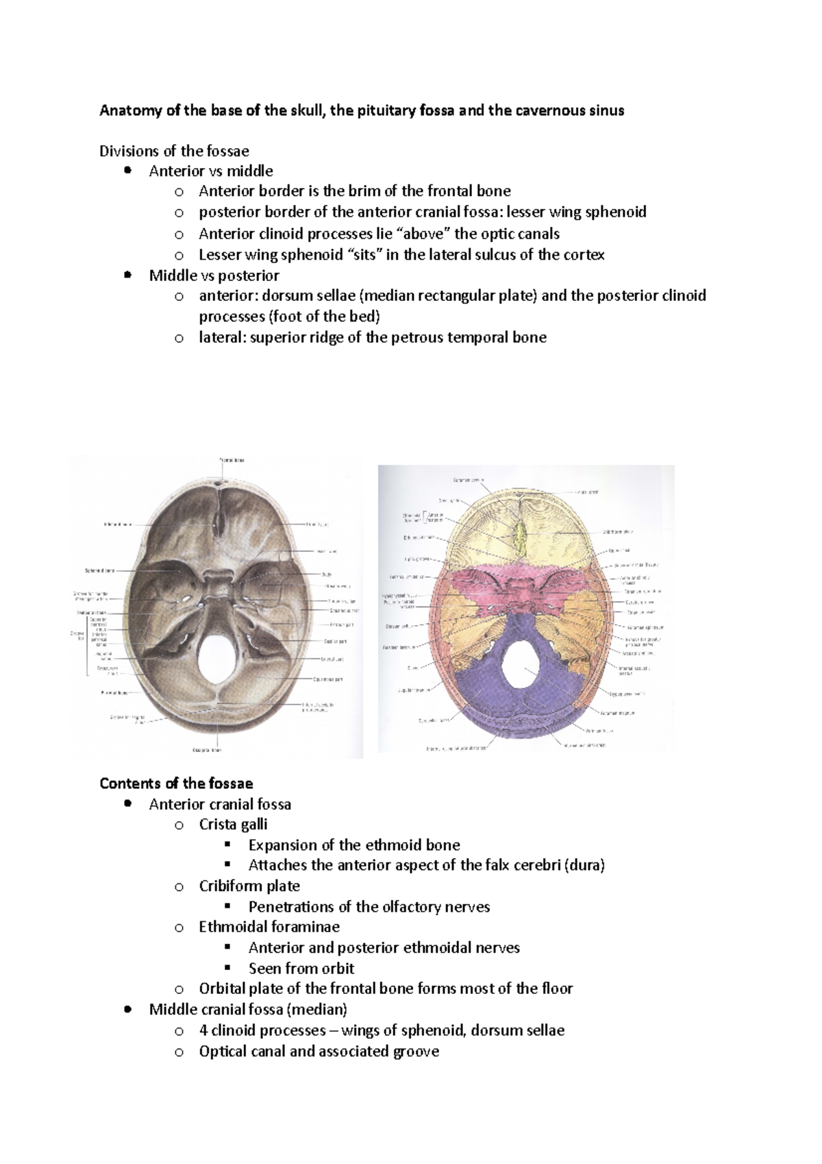 Anatomy and physiology of the skull - Anatomy of the base of the skull ...