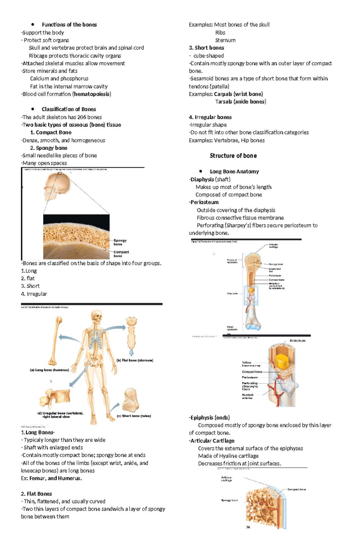 Functions and anatomy of bones - Functions of the bones -Support the body Protect soft organs ...
