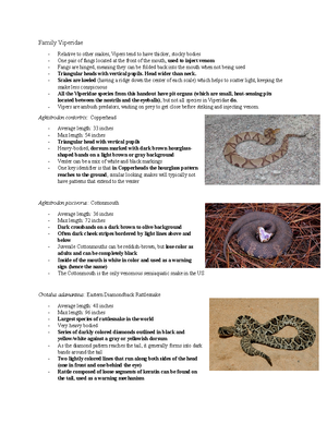 3.19.Eastern Narrowmouth Toad- Jones - Family: Microhylidae ...