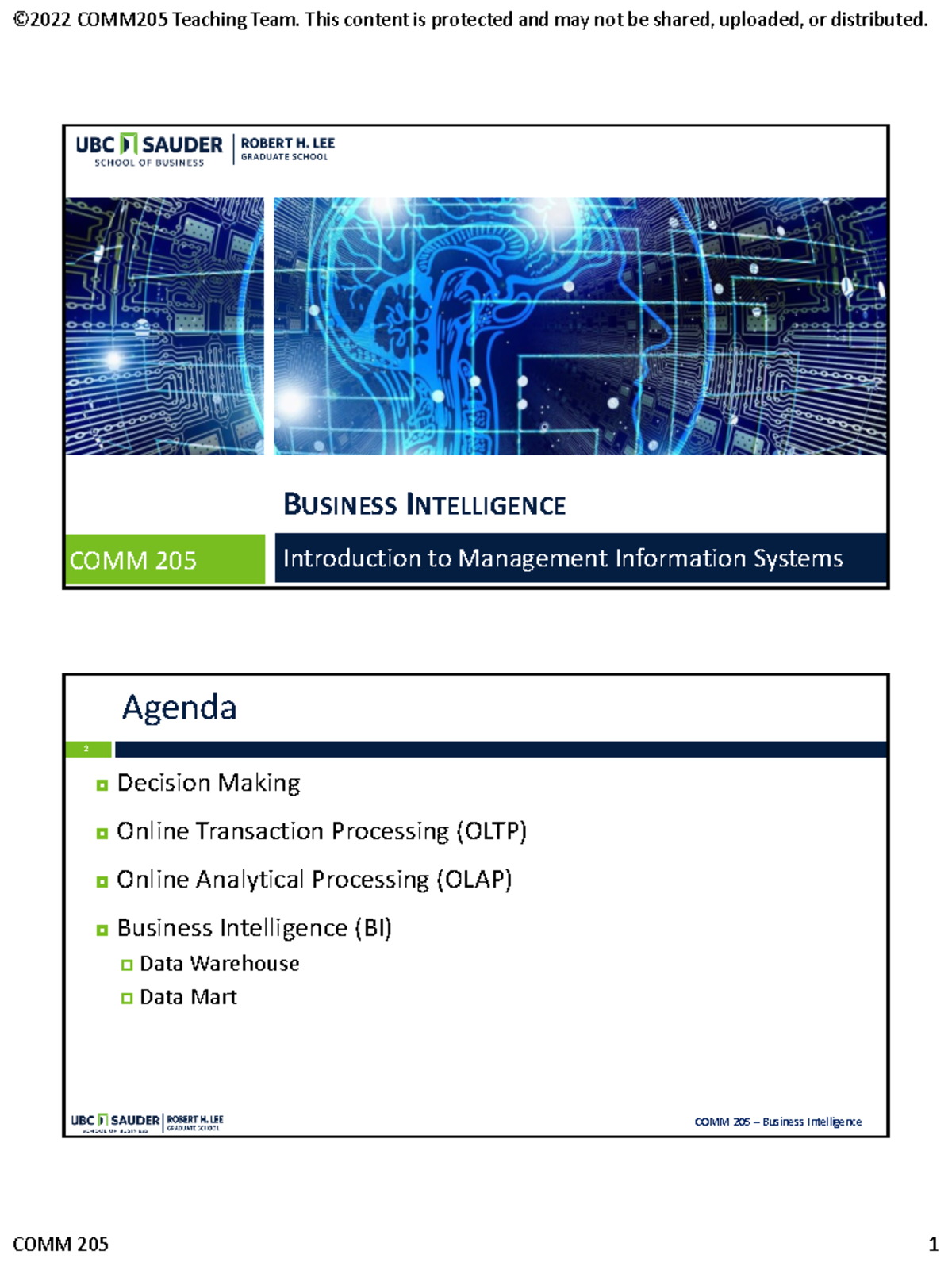 COMM 205 - Lecture 4 - BUSINESSINTELLIGENCE COMM 205 Introduction to Management Information ...
