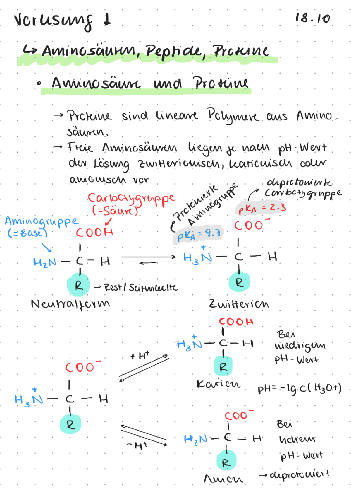 Biomolekulen und Aminosauren - vorusing 18 Aminosaurm, Peptide, Prckine ...
