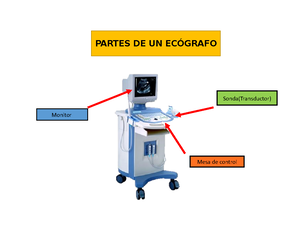 60874443 - LA EVOLUCIÓN ECOLÓGICA ANICETO LÓPEZ FERNÁNDEZ ACADÉMICO ...