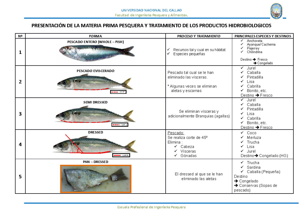 247827102 Guia de Cortes de Pescado - Facultad de Ingeniería Pesquera y ...