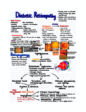 Rhinology - Summary of anatomy and diseases of the nasal cavity and ...