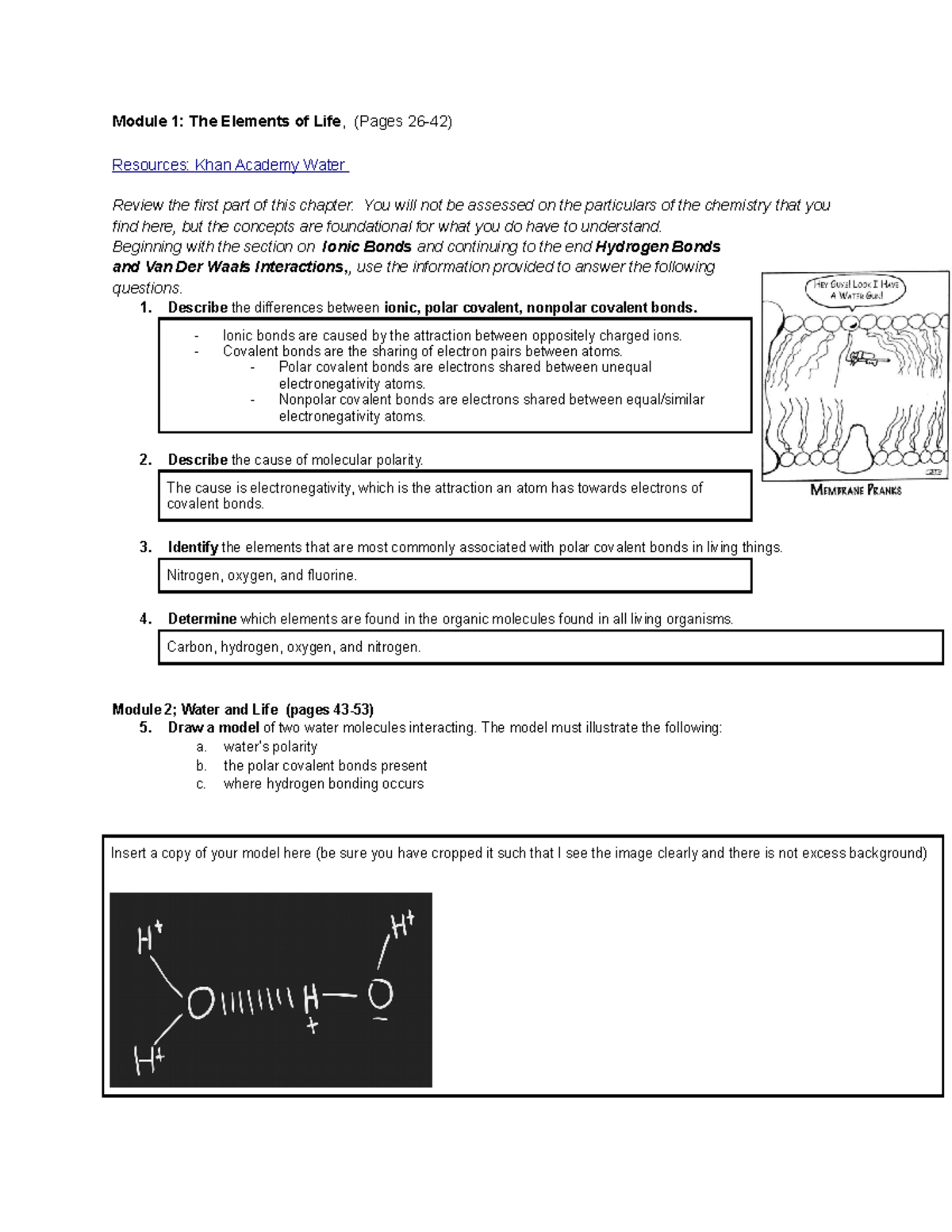 Copy of Module 1 The Elements of Life, (Pages 26-42) - Module 1: The ...